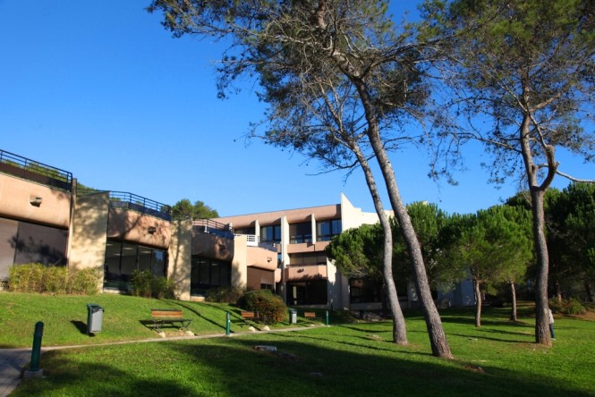 SKEMA Business School programme SKEMA Bachelor